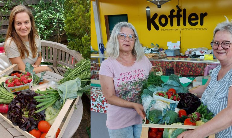 große Gemüsekisten 復勒vom Gewinnspiel wurde übergeben | Koffler Erdbeeren